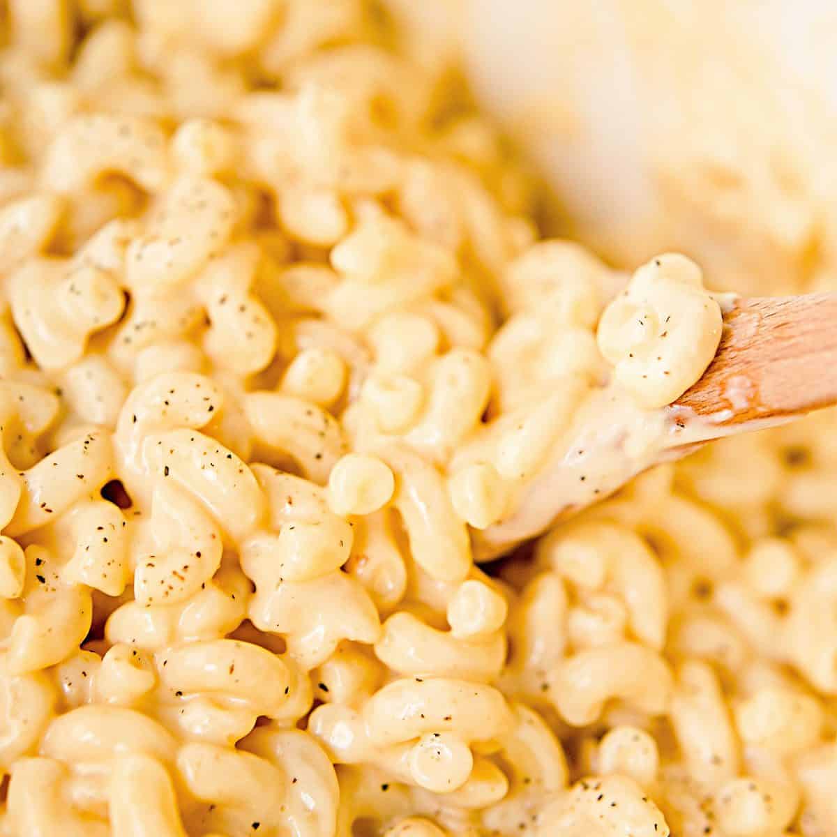 Panera Mac and Cheese - The Country Cook