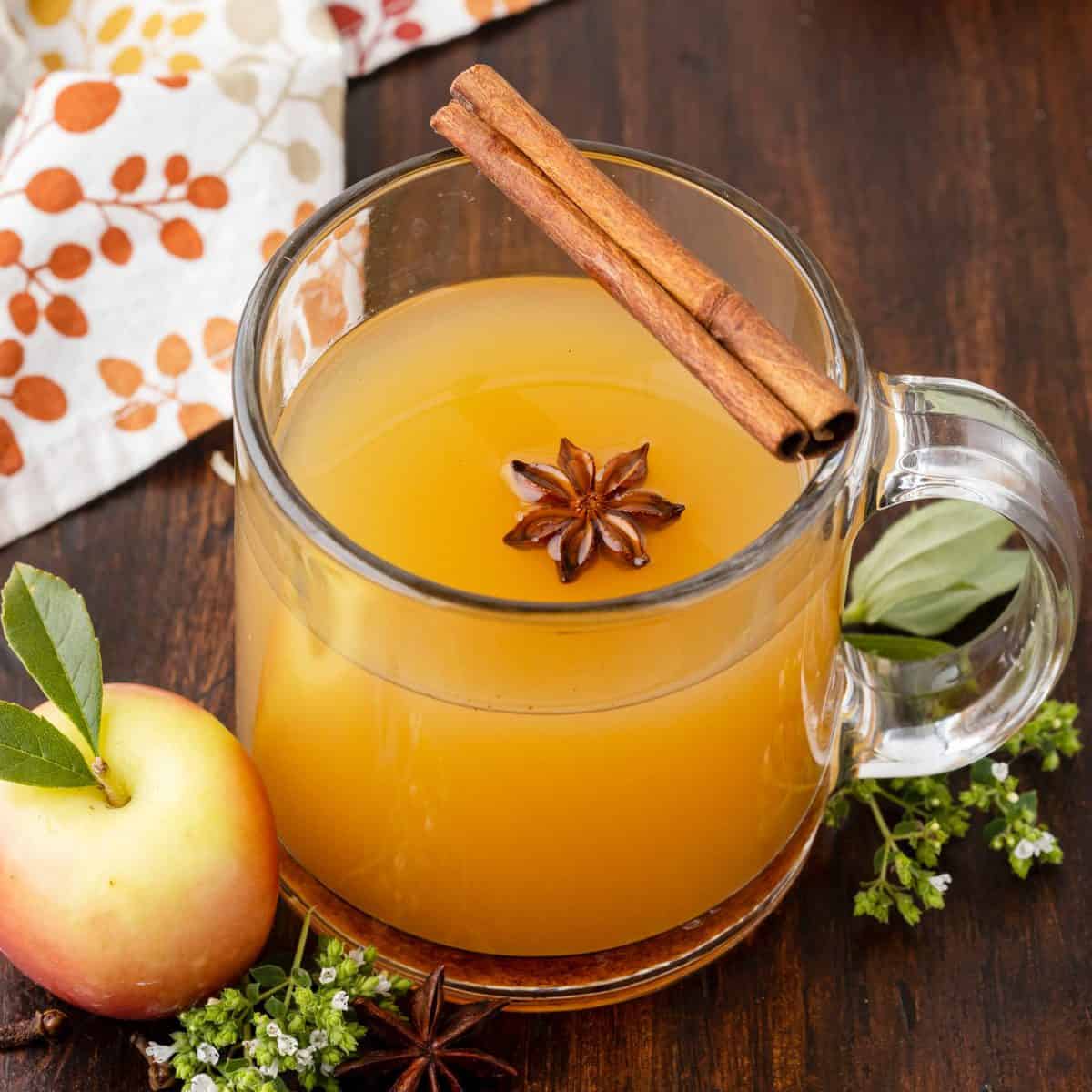 Warm Apple Cider Cocktail - The Country Cook