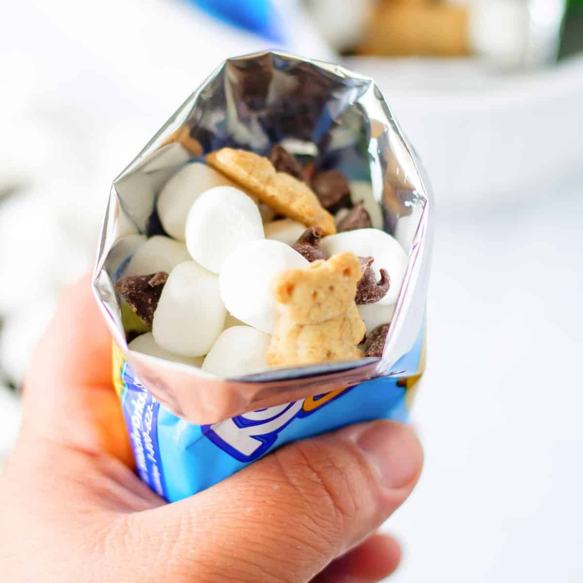 Walking S'mores - The Country Cook