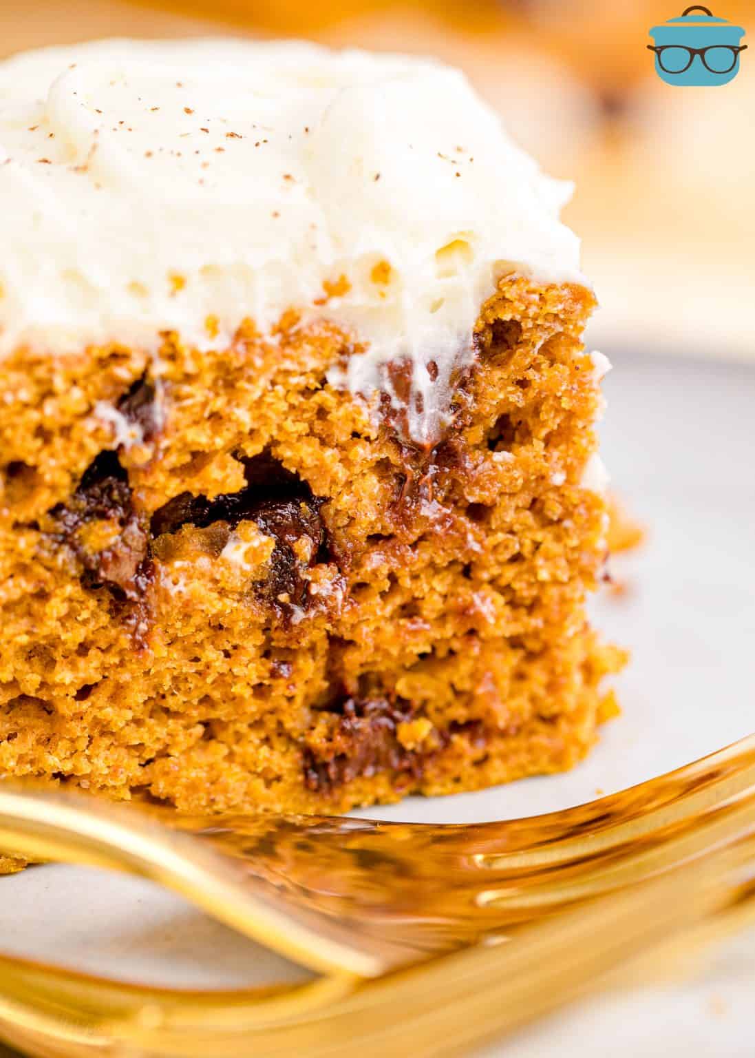 Pumpkin Chocolate Chip Cake - The Country Cook