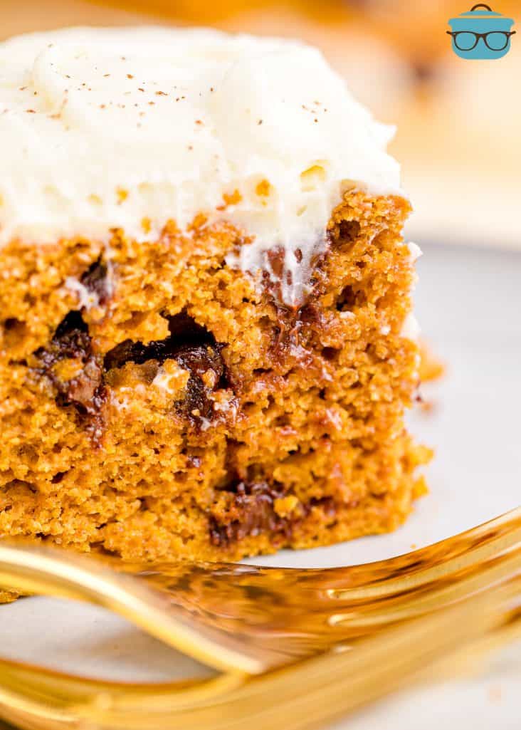 Pumpkin Chocolate Chip Cake - The Country Cook