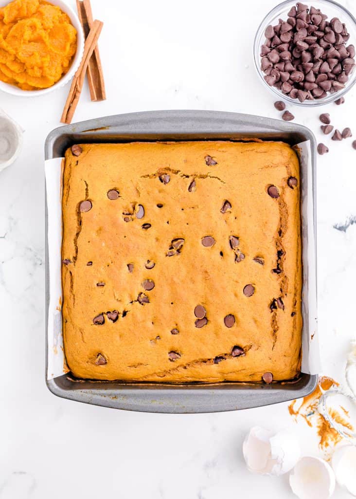 Pumpkin Chocolate Chip Cake - The Country Cook