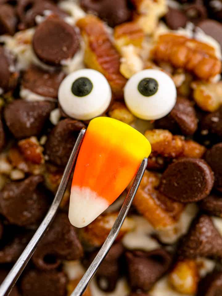 Turkey Dessert Cheeseball - The Country Cook