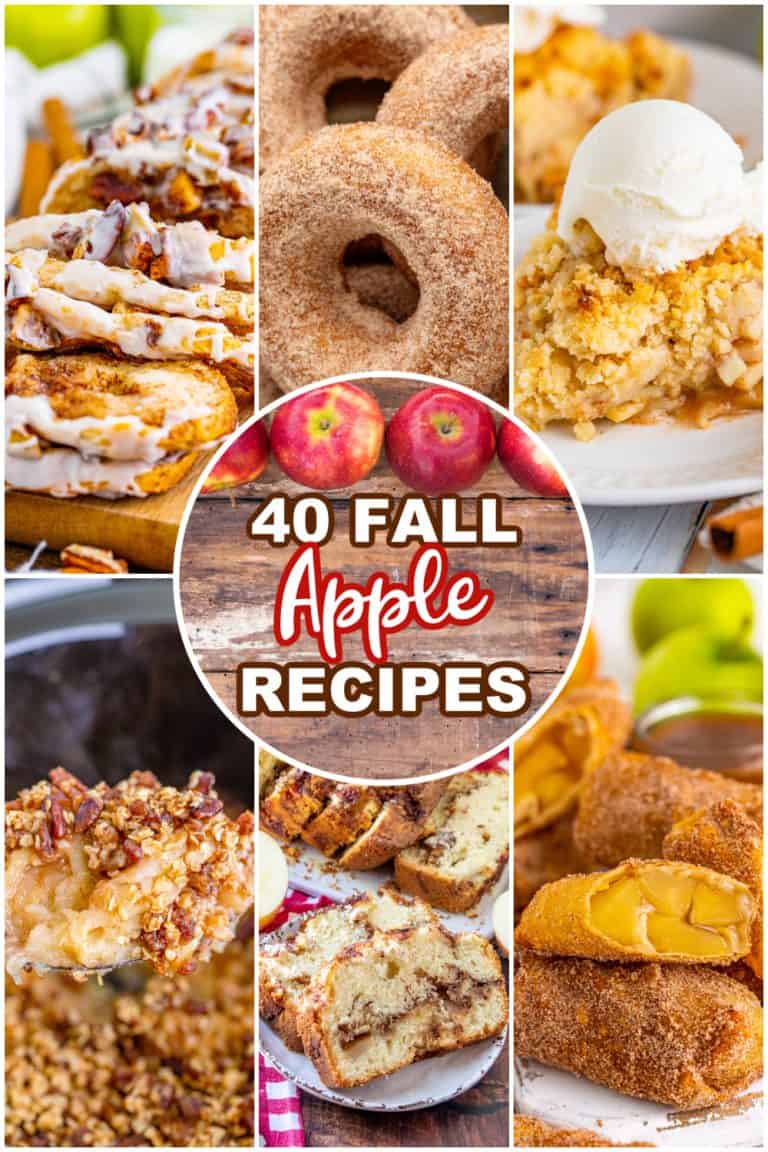 40 Fall Apple Recipes - The Country Cook