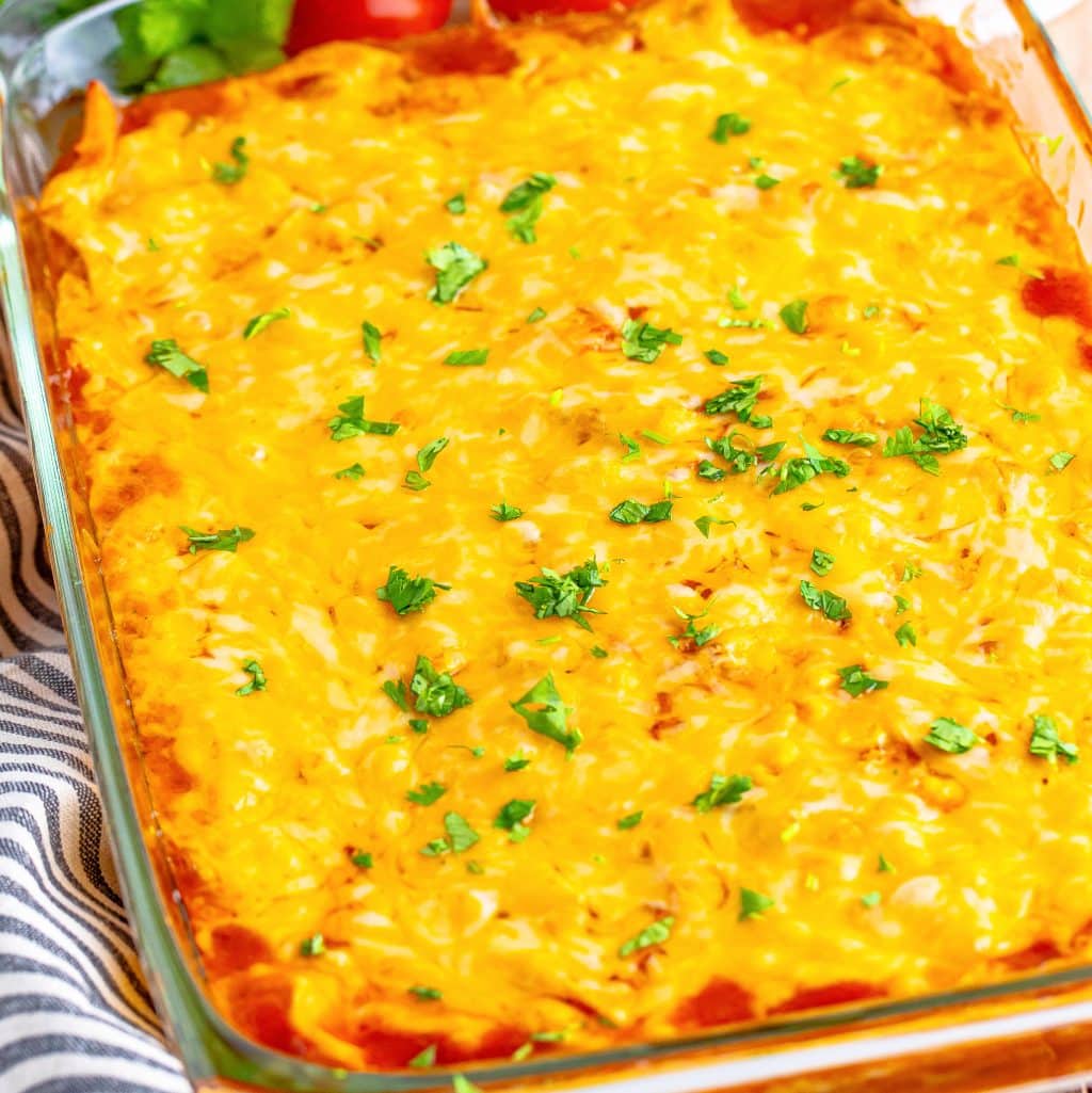 Easy Chicken Enchiladas - The Country Cook